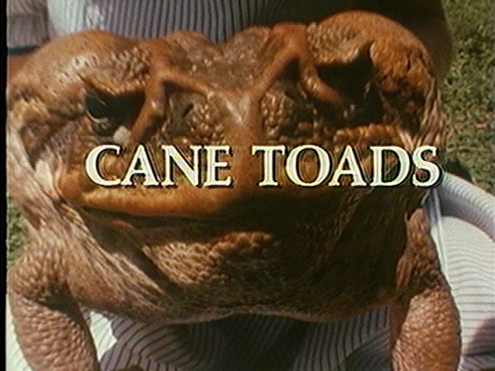MONDO BIZARRO: Wackumentary: Cane Toads- An Unnatural History