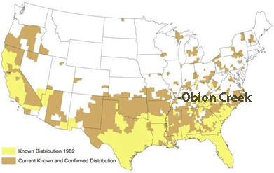 The Rural Blog: Effort to clear wild hogs out of creek valley in far ...