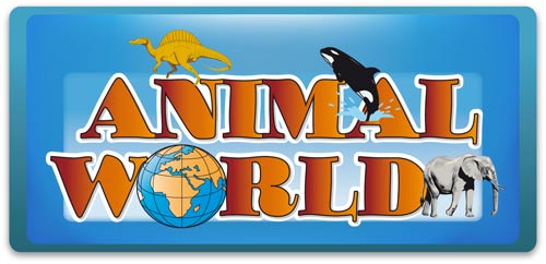 animal's world