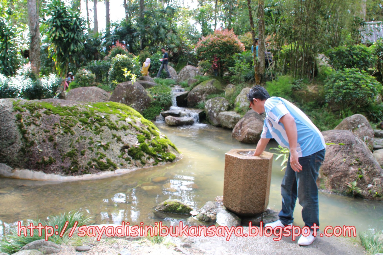 BukanSayaDisini: Rumah Jepun dalam Hutan Tropika ~ Bukit Tinggi