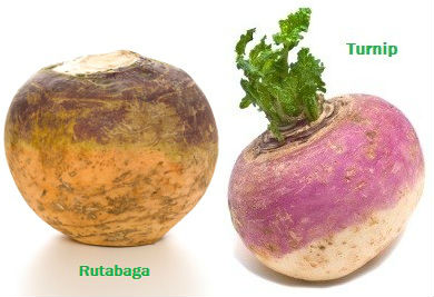 The Roller Coaster Ride of Diabetes!!!: Low carb recipes for Easter and ...