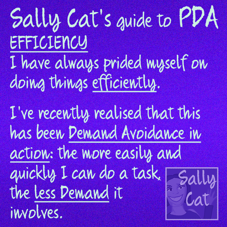 Sally Cat PDA: Memes About Demand Avoidance
