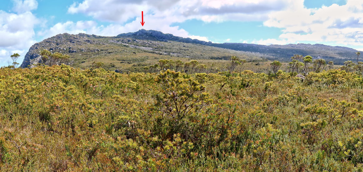 Mountains: Mt Roland, Mt Vandyke, Mt Claude Lookout, Tas, Australia