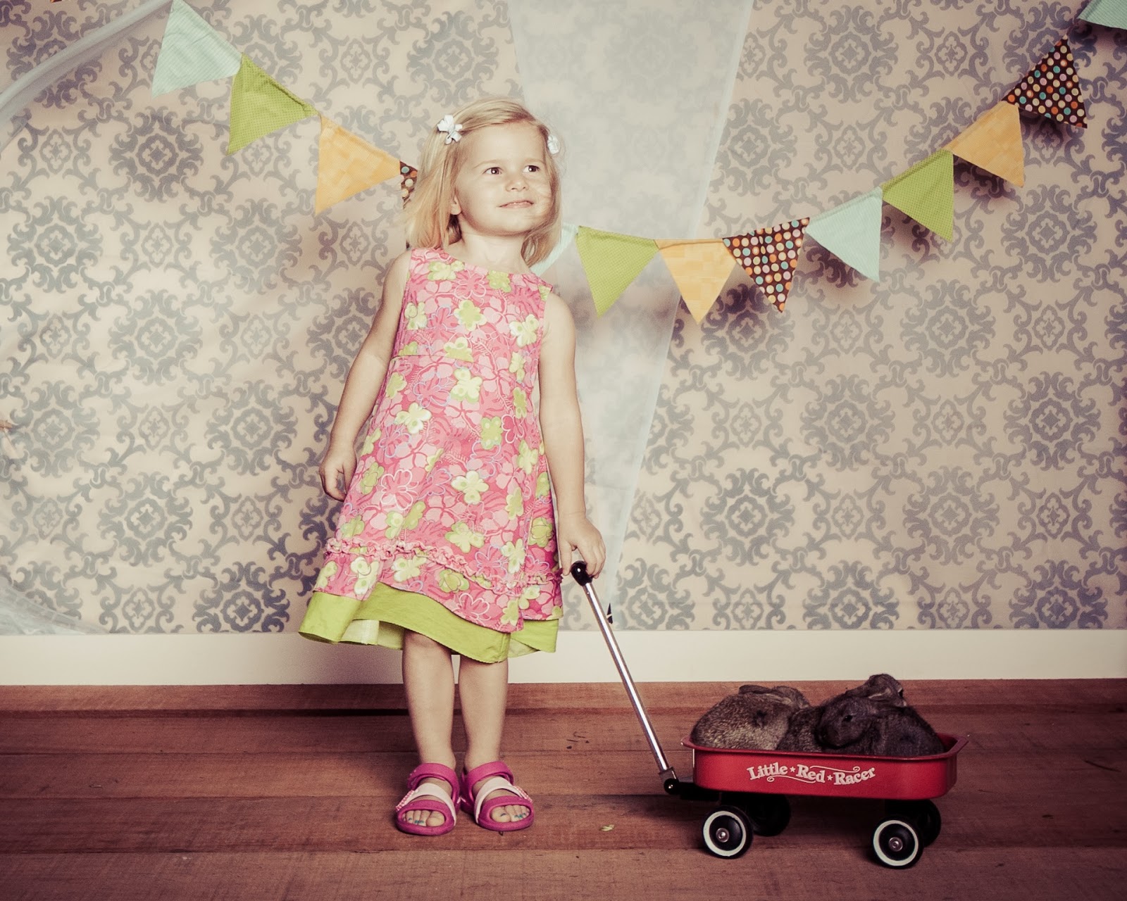 Robert Everton Photography: Limited Edition - Vintage Spring Mini's