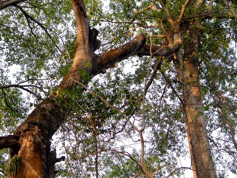 Travel and food tales: A lake, a waterfall and an ancient Meitei temple