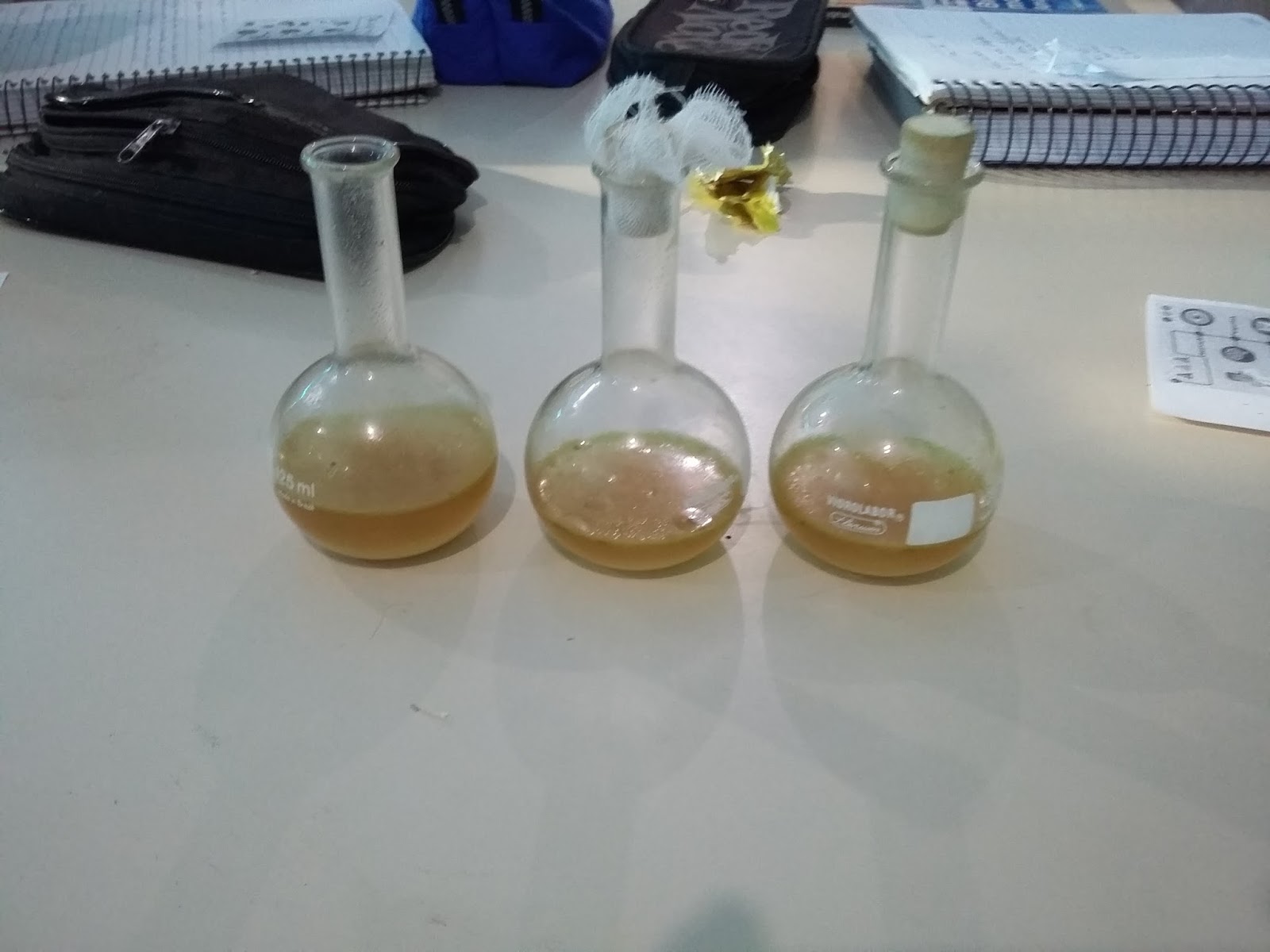 Abiogênese, Biogênese e a Origem da Vida