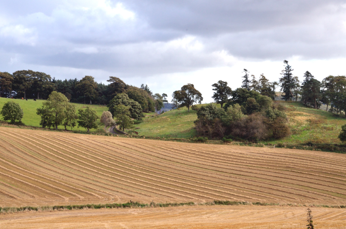North Fife: Brunton and Luthrie Fields North Fife