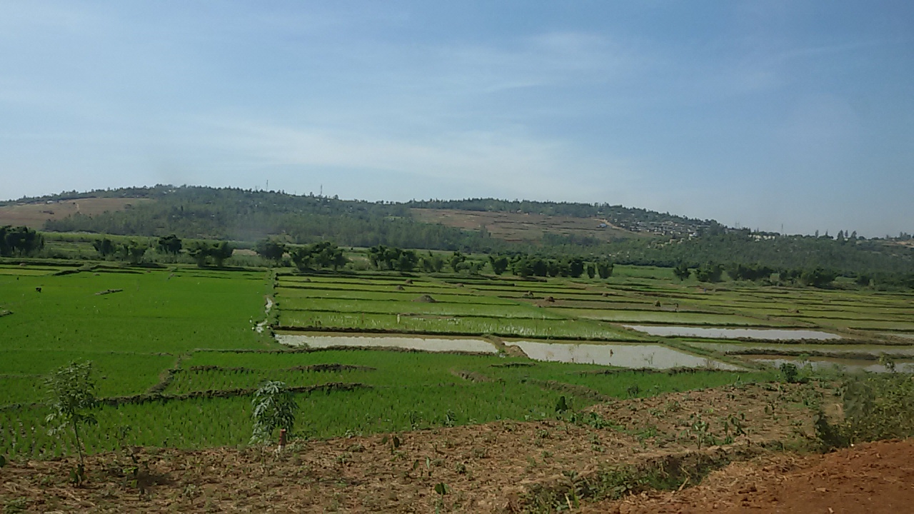 Nataraja's Foot: Gihembe Refugee Camp