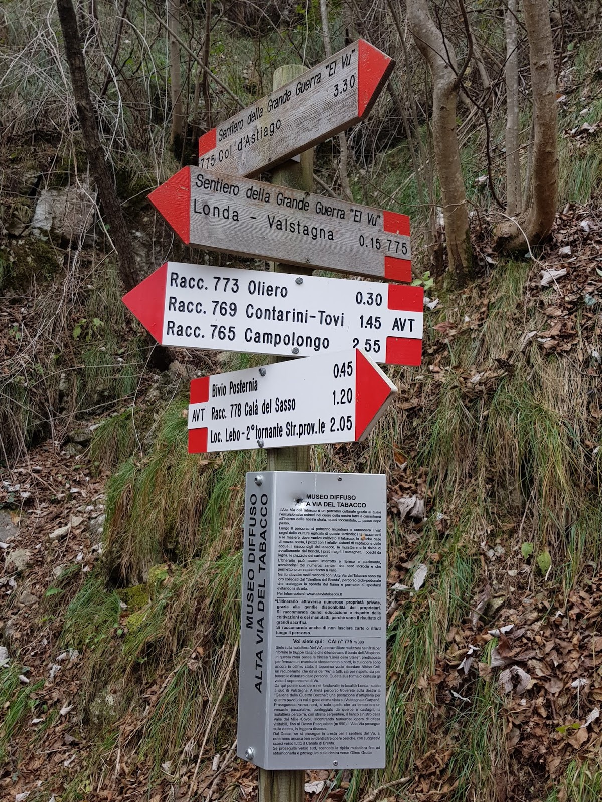 Su strade e sentieri: COL D'ASTIAGO (m. 1.241) - SENTIERO DEL VU - Val ...