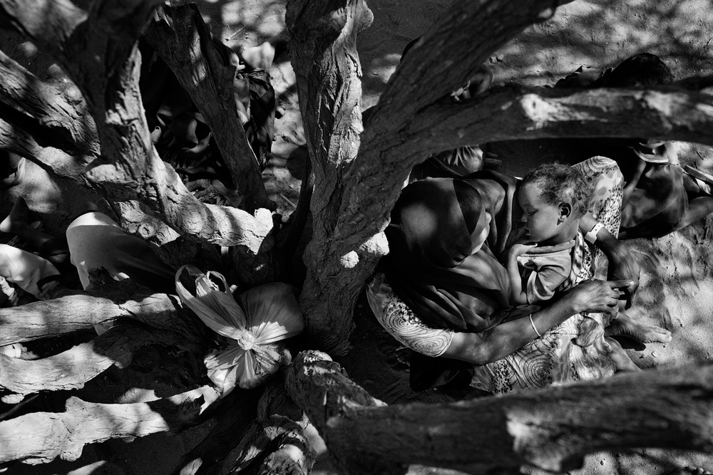 I MIEI SOGNI D'ANARCHIA - Calabria Anarchica: Adam Ferguson ...