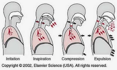 The Sounds of Dhias: BATUK