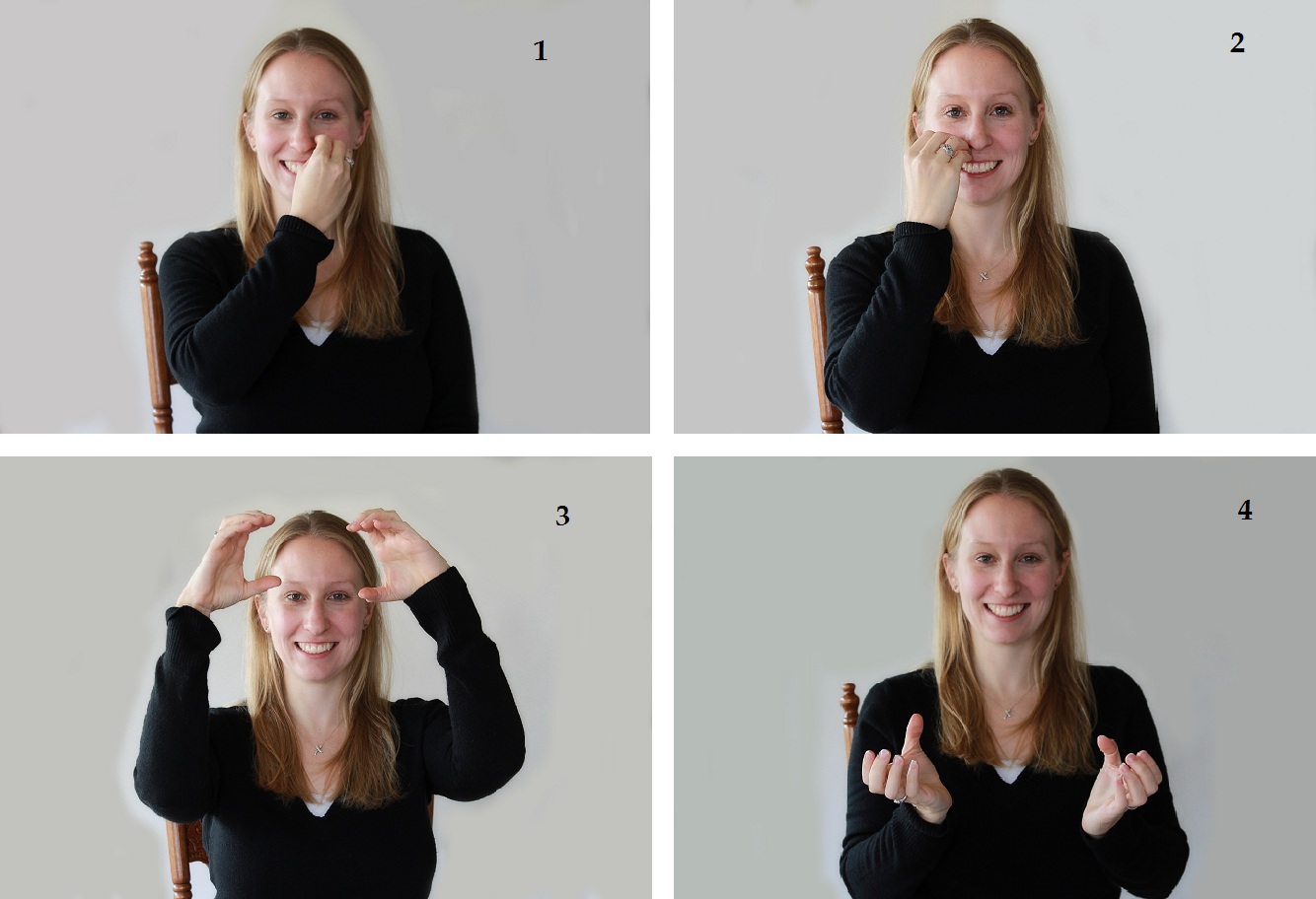 HearMyHands ASL: What's the Sign Wednesday - Holiday edition. Tell me ...