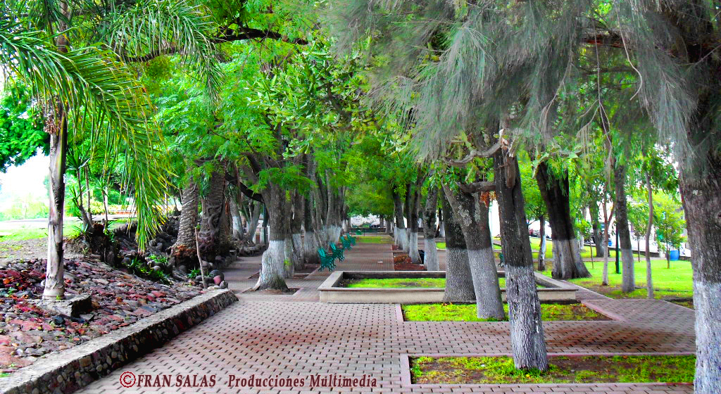 Ameca Jalisco Mexico: El puente y el rio de Ameca Jalisco