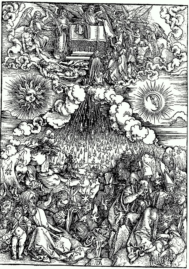 il ventaglio di piume: Incisioni di Dürer