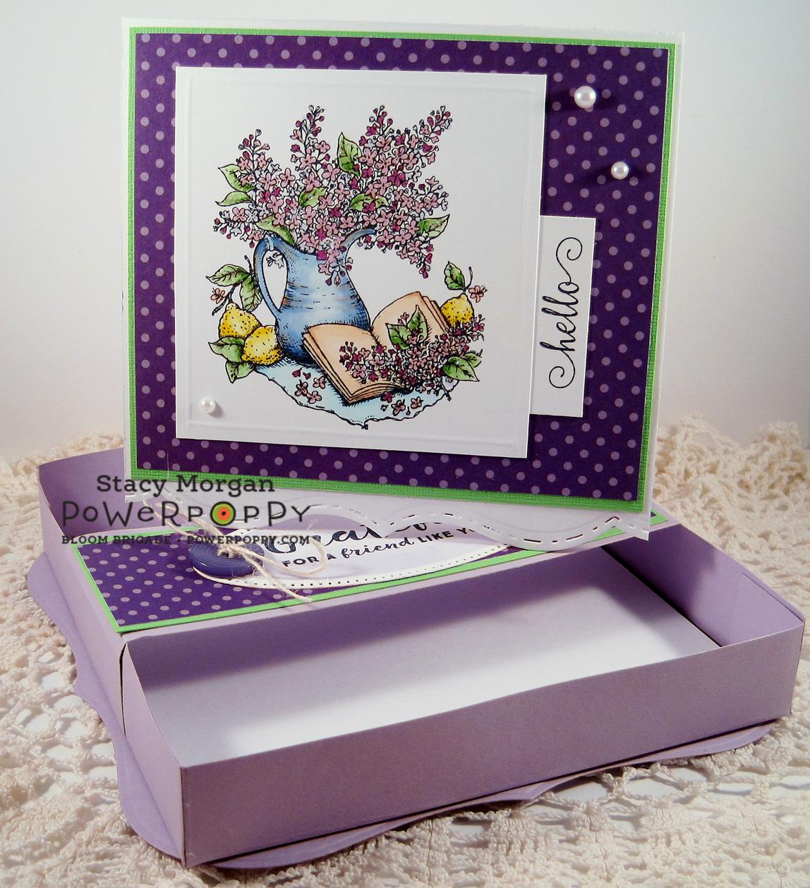 Twinshappy: Lilac Square Box Two