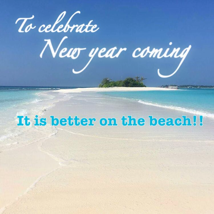 Life on Delmarva: Happy New Year from the Beach | Seashore Greetings to ...