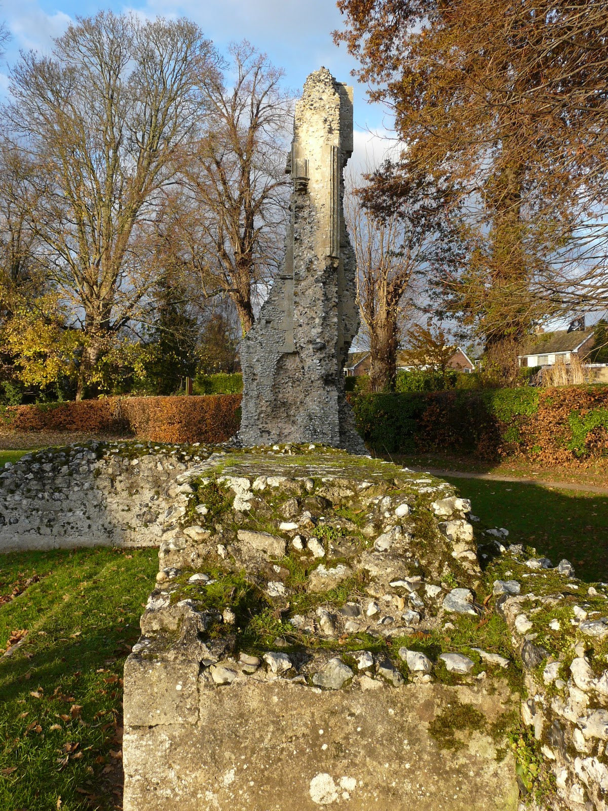 Cindy's Snaps: Thetford Priory, Nunnery Lakes Nature Reserve and ...