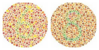 Física na Veia: Teste de Ishihara