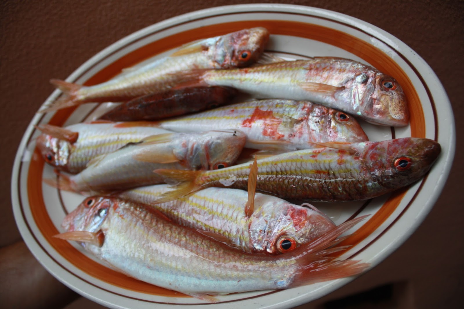 La Cuciniera Moderna: Triglie alla ... livornese