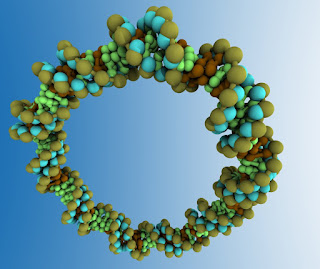 Latest Update: Circular DNA ~ SIRAH Forcefield