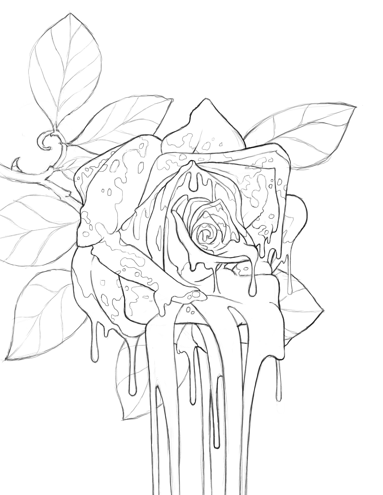 365 Days of Coloring: Roses Red