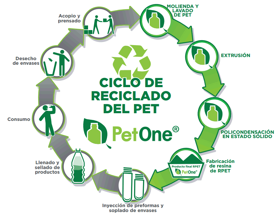 Proyecto PET: PROYECTO PET