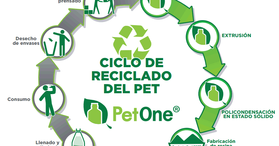 Proyecto PET: PROYECTO PET