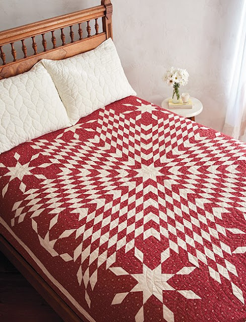 The Literate Quilter: Red & White Quilts: 14 Quilts with Timeless Appeal