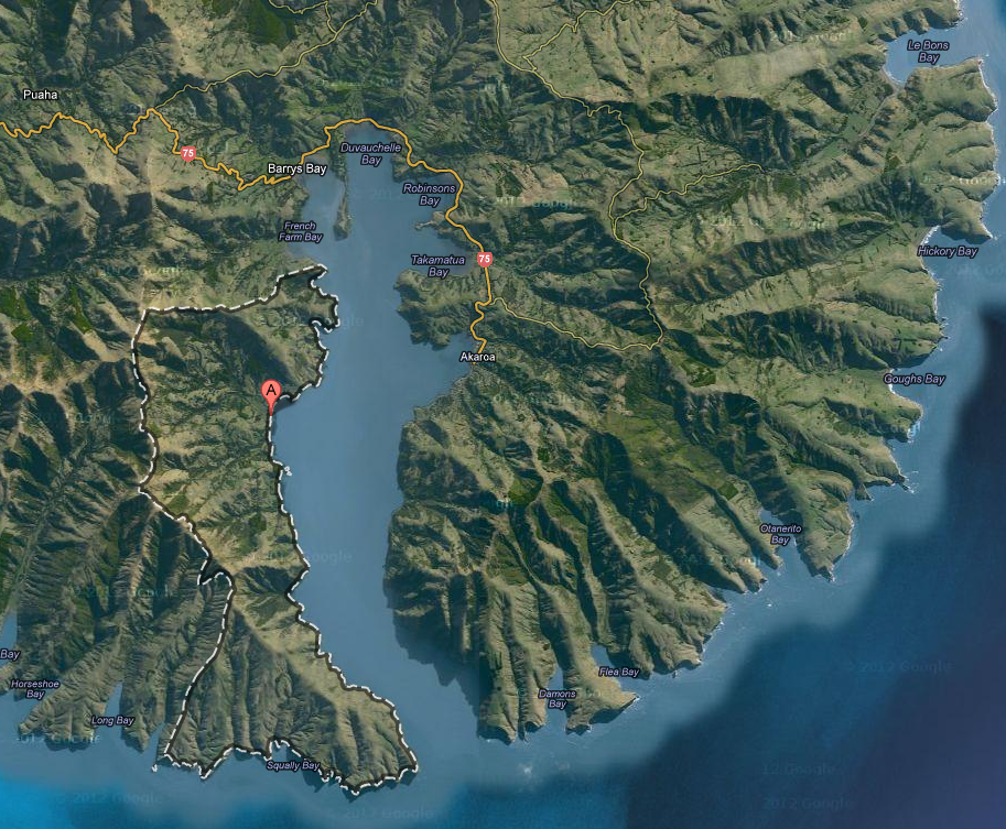 Room 4 - 2013: Wainui Camp