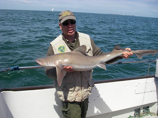 June Fish of the Month Entry - Big Smoothie!