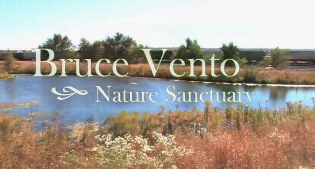 The Ripple Effect: On the Screen: Sustainable Food and Nature on the ...