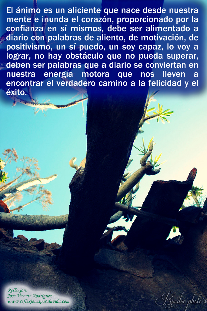 La Reflexión un Cambio de Actitud: Reflexiones Para La Vida