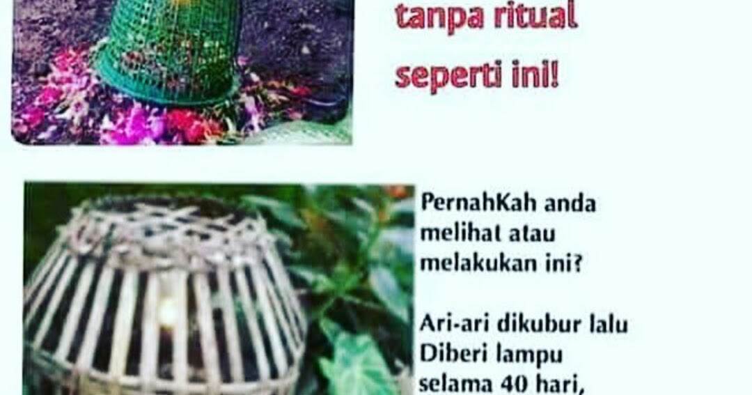 pencari surga: Pin : ritual menguburkan ari ari