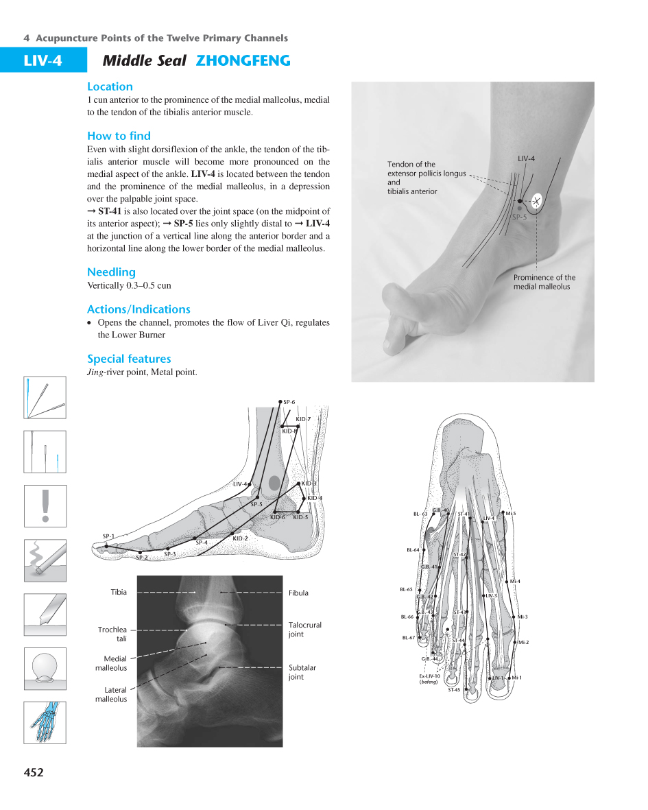 Acupuncture Masters: Acupuncture Points Database - Liver Channel