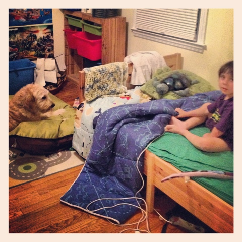 Constraint Induced: Welcome Home Tigger!