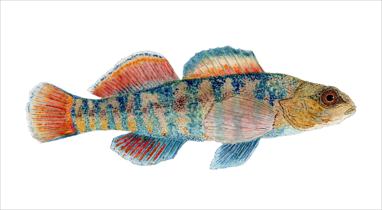 Daily Painters of Pennsylvania: Latest Demonstration- 'Study of a Male ...