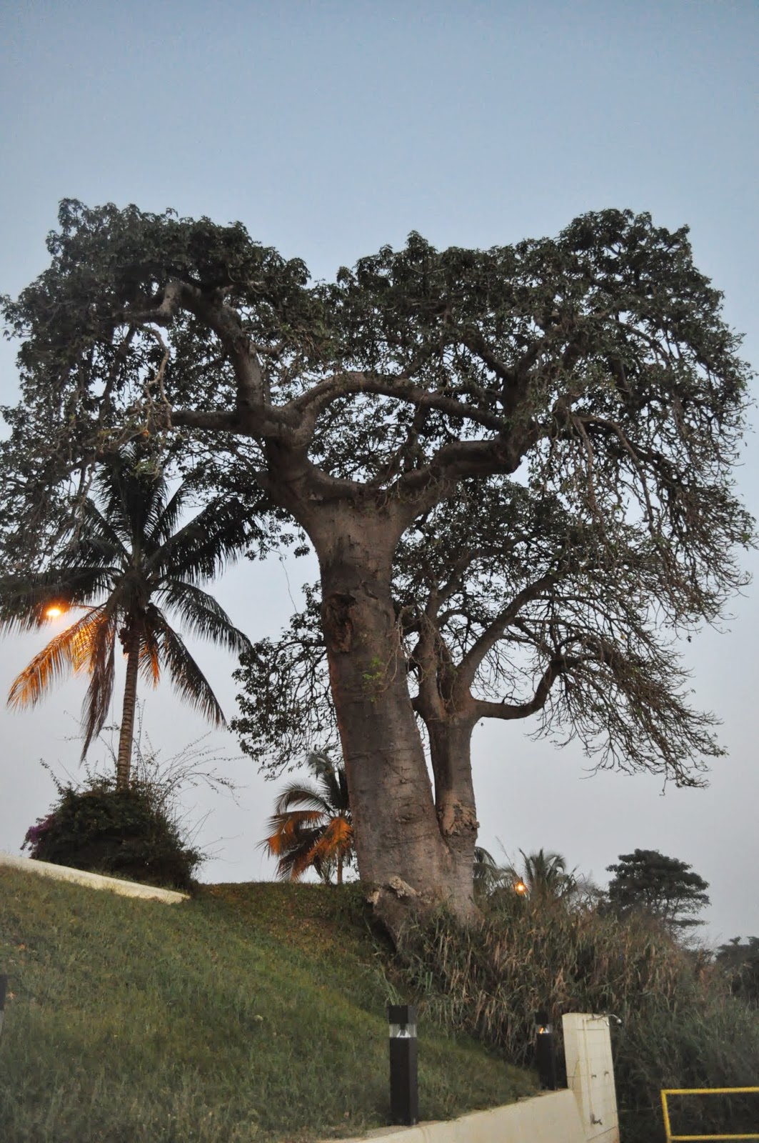 Littlefields' Big Adventures: We Are In Malongo! Updated with Pictures ...