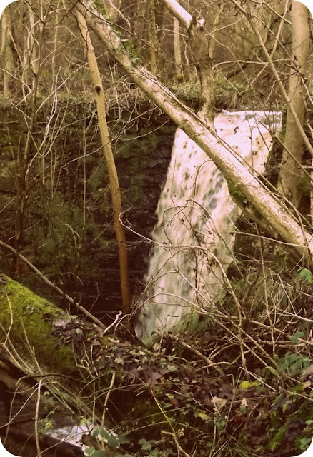 Curlew Country: 2012