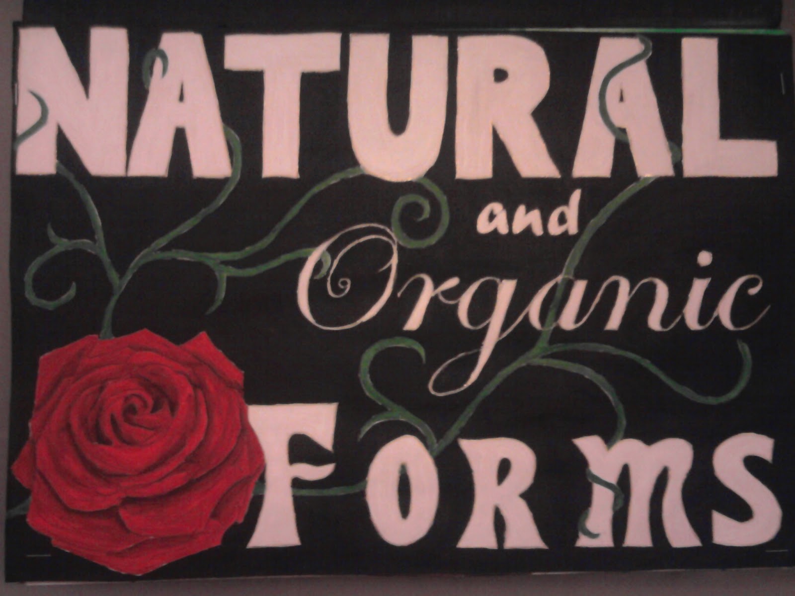 Paris Condron: Natural and Organic Forms