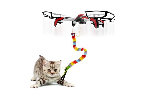 NEWS: The Cat Drone is purr-fect | The Test Pit