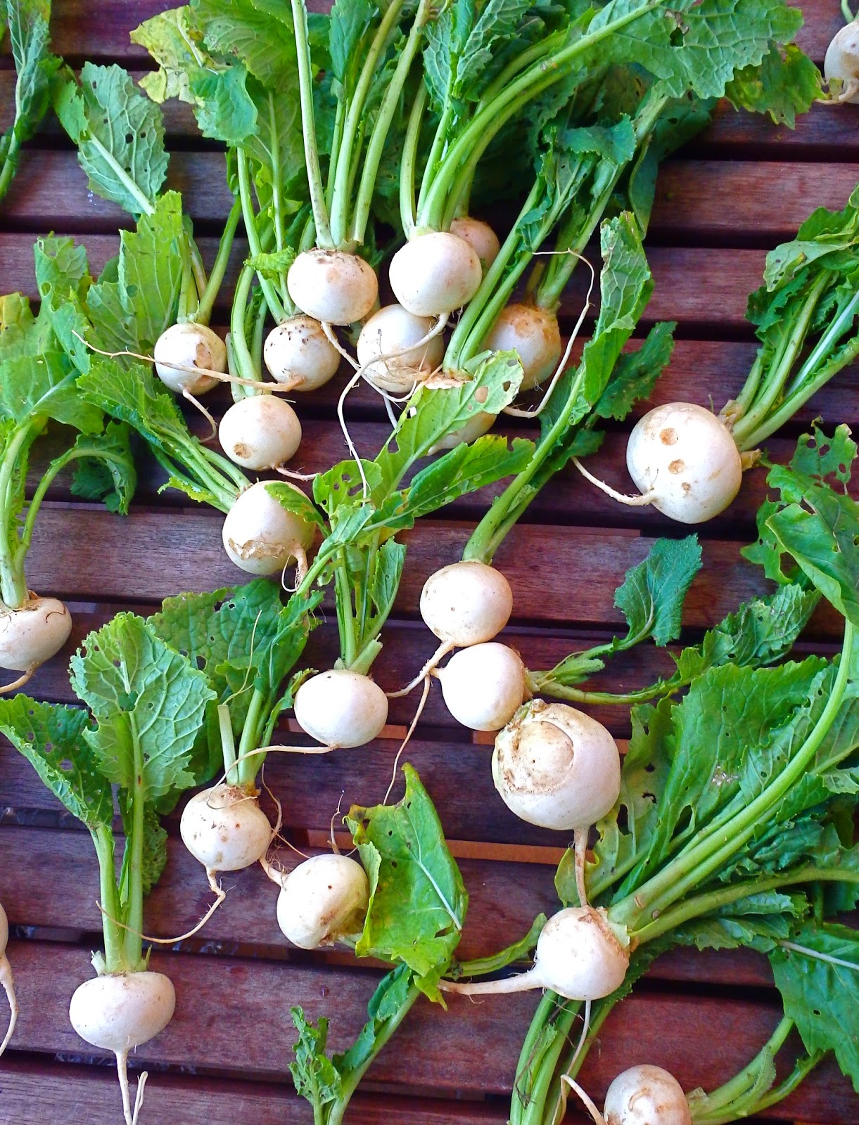 Les receptes que m'agraden: Nabos mini para guarnición