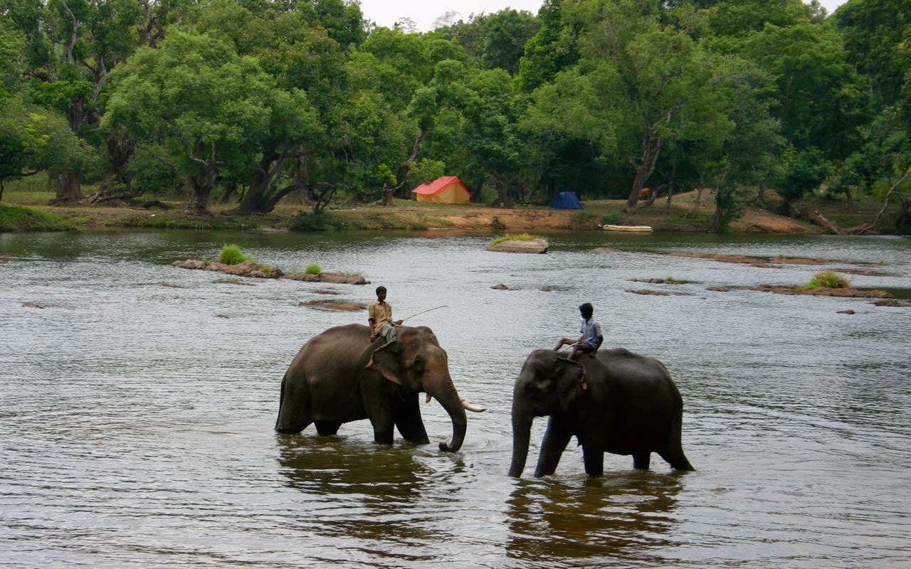 make your perfect way to coorg (kodagu): This is all about coorg/kodagu ...