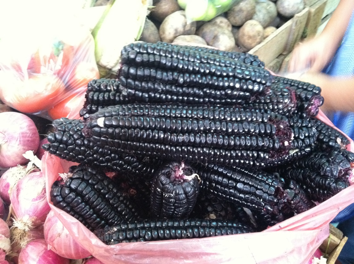 Milho Roxo Peruano