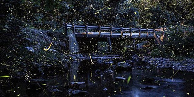 MAGICK RIVER: 5/18/14 - 5/25/14