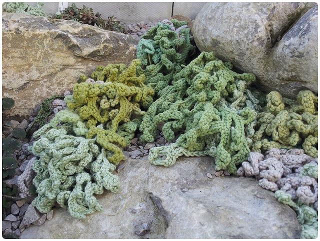 Suzie Makes: Hooked on Plants