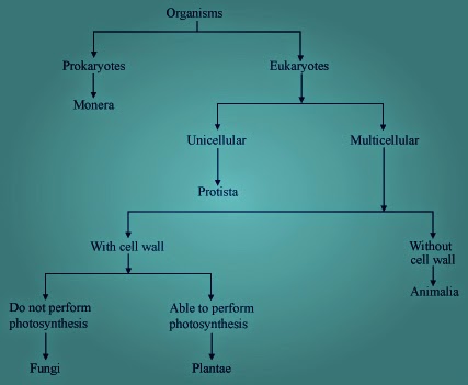 Biodiversity,Nutrition&HEALTH: What is BASIS OF CLASSIFICATION?
