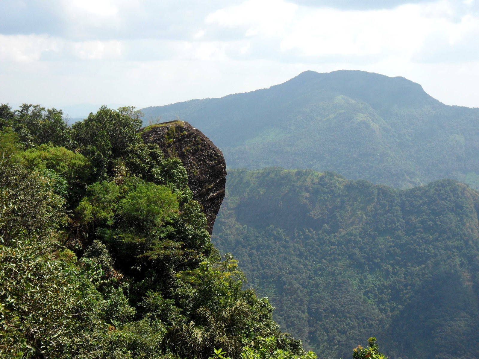 VAGAMON wagamon photos images
