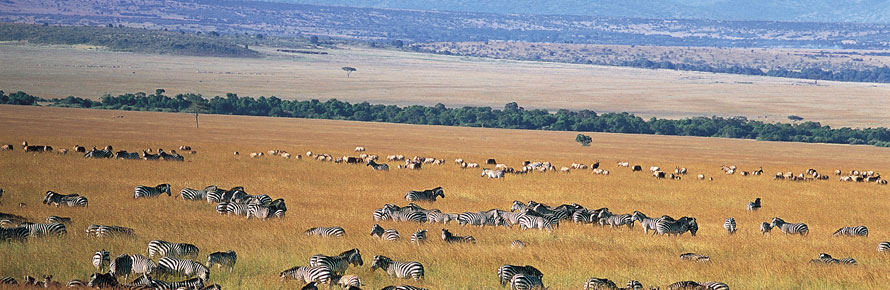 WONDERLICIOUS TOUR AND TRAVEL: IRINGA