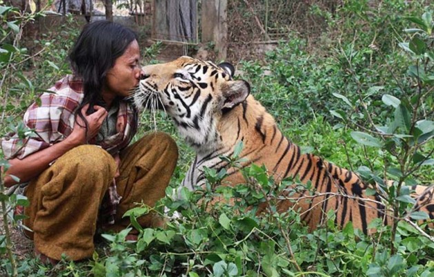 The Friendship between Tiger and Human - The World in Your Hand
