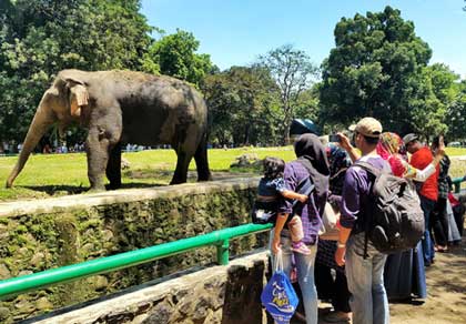 10 Tempat Rekreasi di Jakarta yang Asyik untuk Mengisi Liburan Sekolah ...